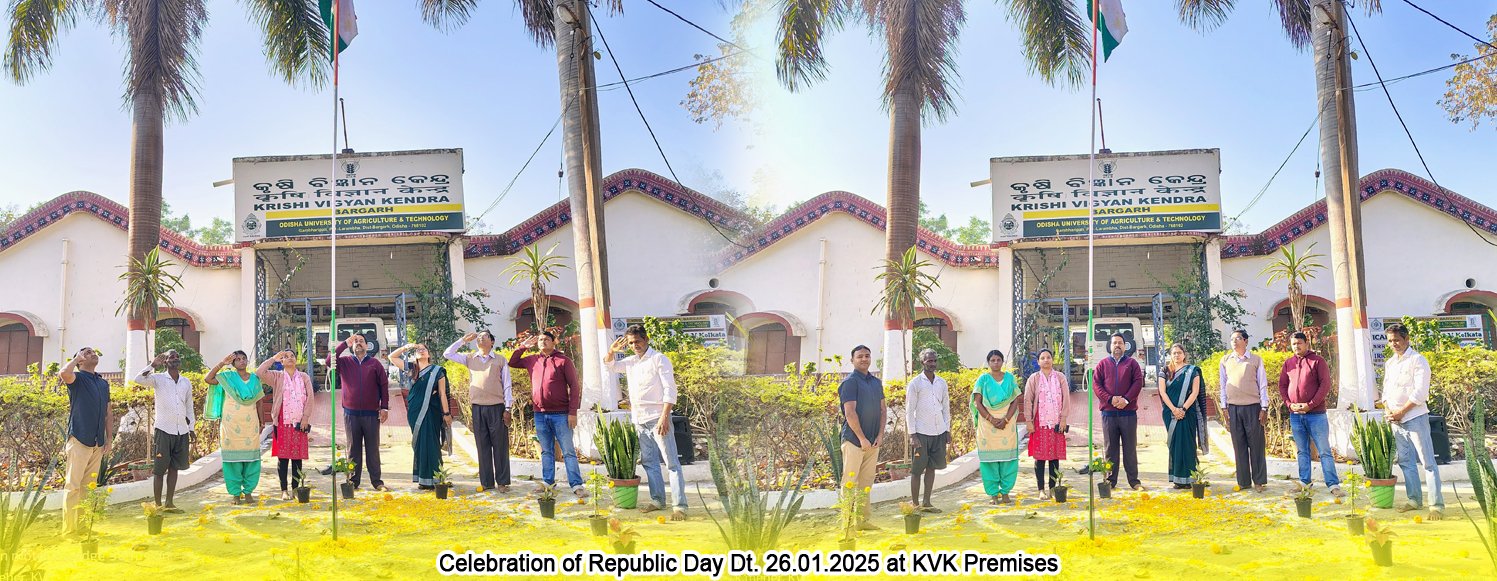Welcome to Krishi Vigyan Kendra, Bargarh